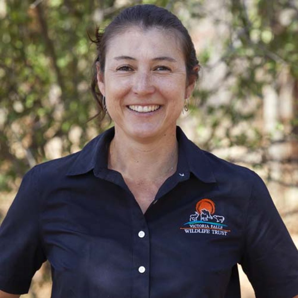 Meet Our Dedicated Team at Victoria Falls Wildlife Trust